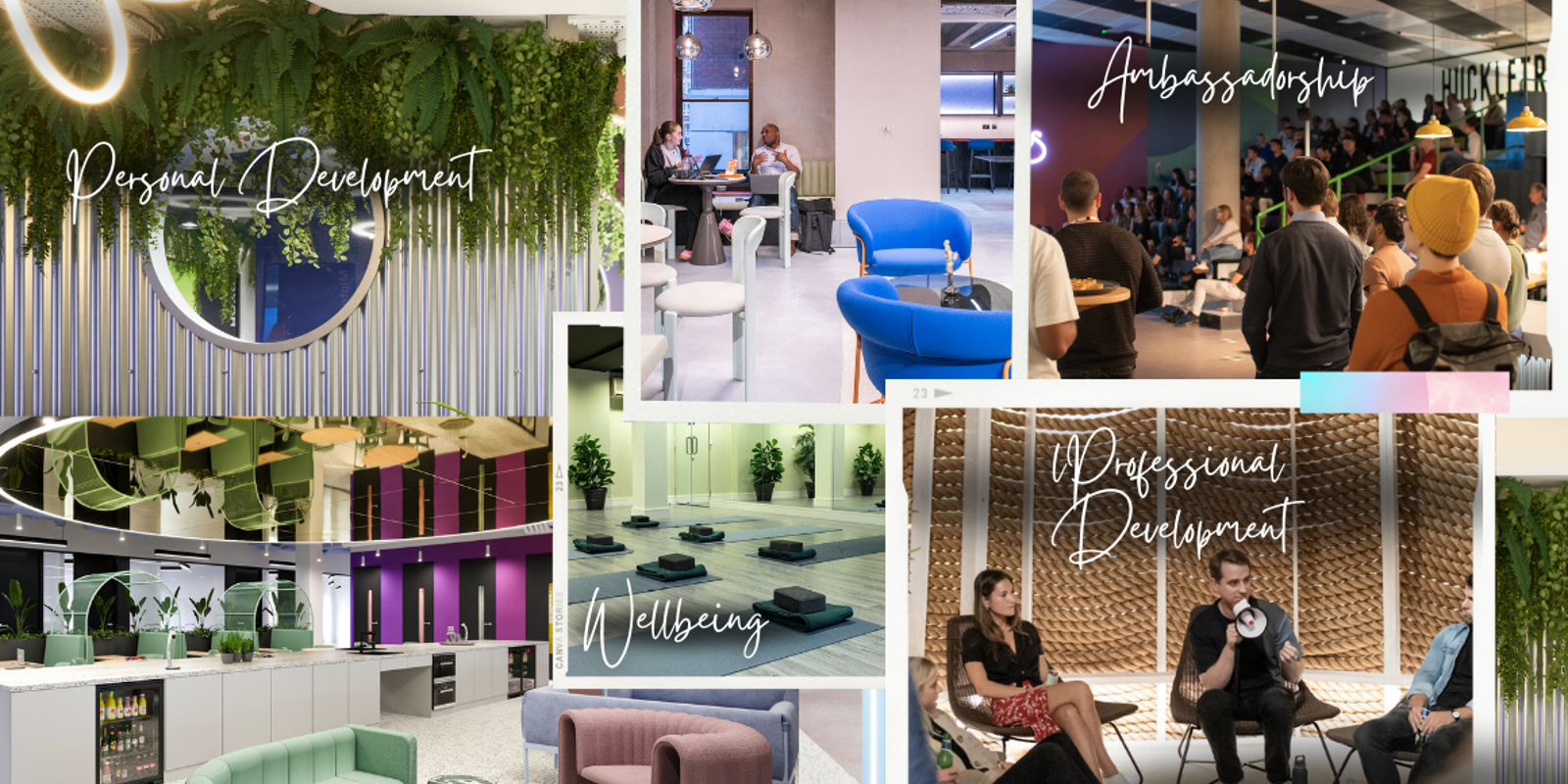 Unpacking the Huckletree ecosystem