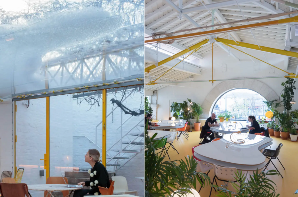 Flex List: Our Top 6 Sustainable Operators